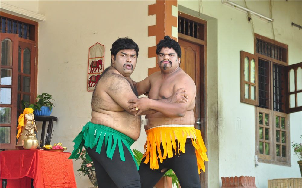 Senior Mandrake Fan Photos | Senior Mandrake Photos, Images, Pictures ...