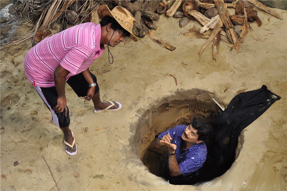 Senior Mandrake Fan Photos | Senior Mandrake Photos, Images, Pictures ...