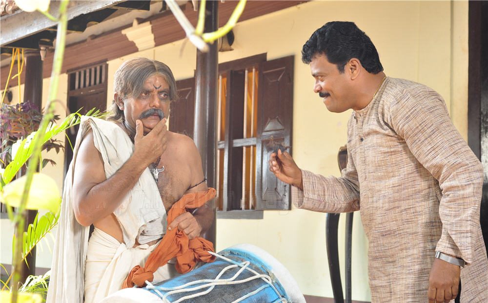 Senior Mandrake Fan Photos | Senior Mandrake Photos, Images, Pictures ...