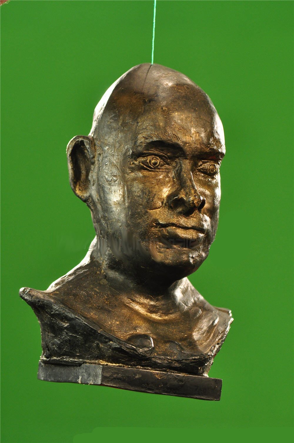 Senior Mandrake Fan Photos | Senior Mandrake Photos, Images, Pictures ...