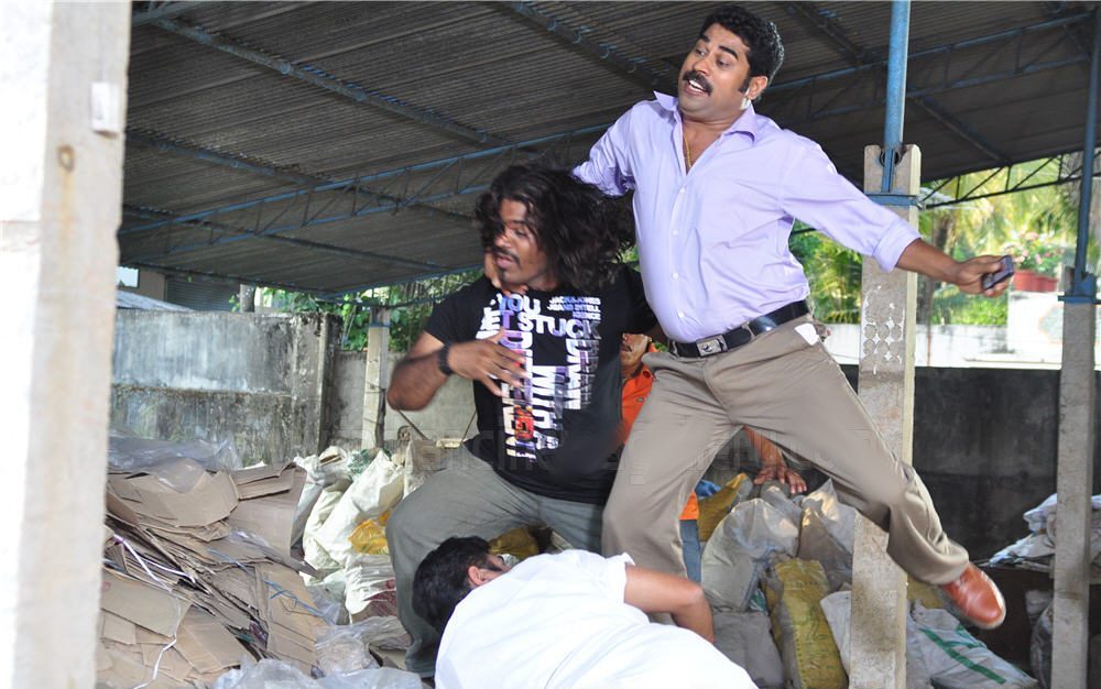 Senior Mandrake Fan Photos | Senior Mandrake Photos, Images, Pictures ...