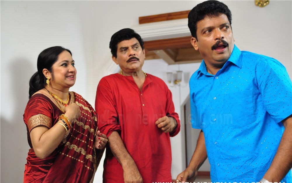 Senior Mandrake Fan Photos | Senior Mandrake Photos, Images, Pictures ...