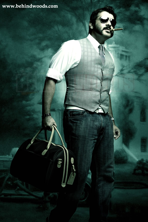 Asal Fan Photos | Asal Photos, Images, Pictures # 24 - FilmiBeat