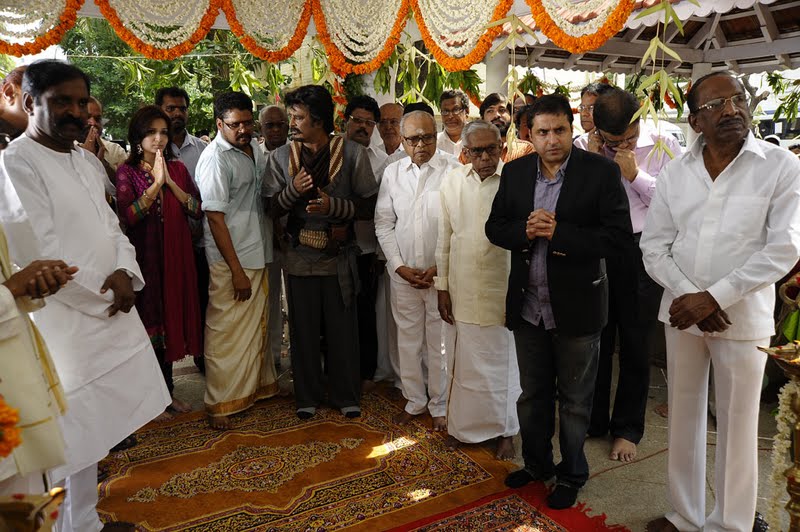 Raana Fan Photos | Raana Photos, Images, Pictures # 15942 - FilmiBeat