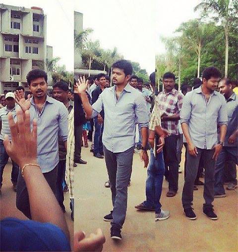 Jilla Fan Photos | Jilla Photos, Images, Pictures # 19523 - FilmiBeat