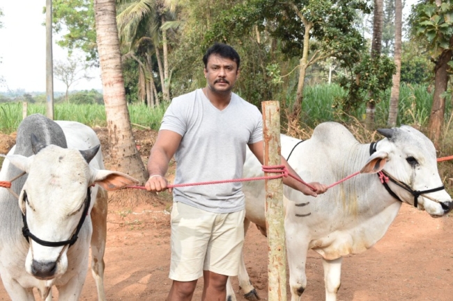 Darshan (Challenging Star) - Photos, Videos, Birthday, Latest News ...
