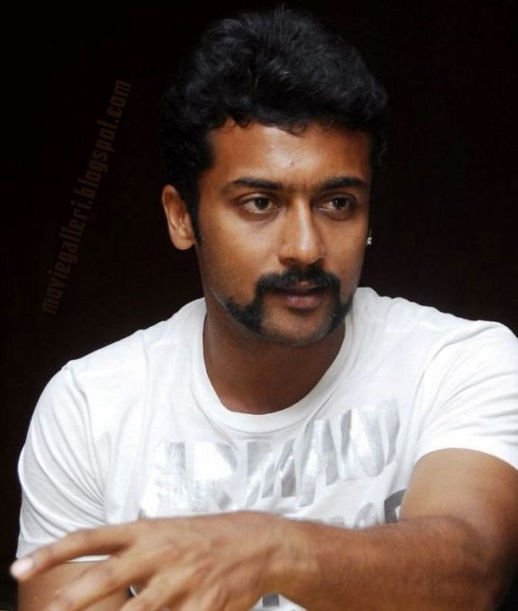 Singam Fan Photos | Singam Photos, Images, Pictures # 2104 - FilmiBeat