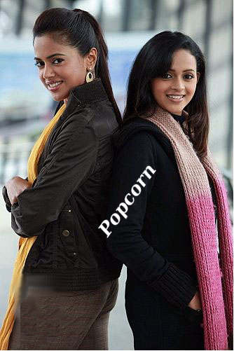 Asal Fan Photos | Asal Photos, Images, Pictures # 3273 - FilmiBeat