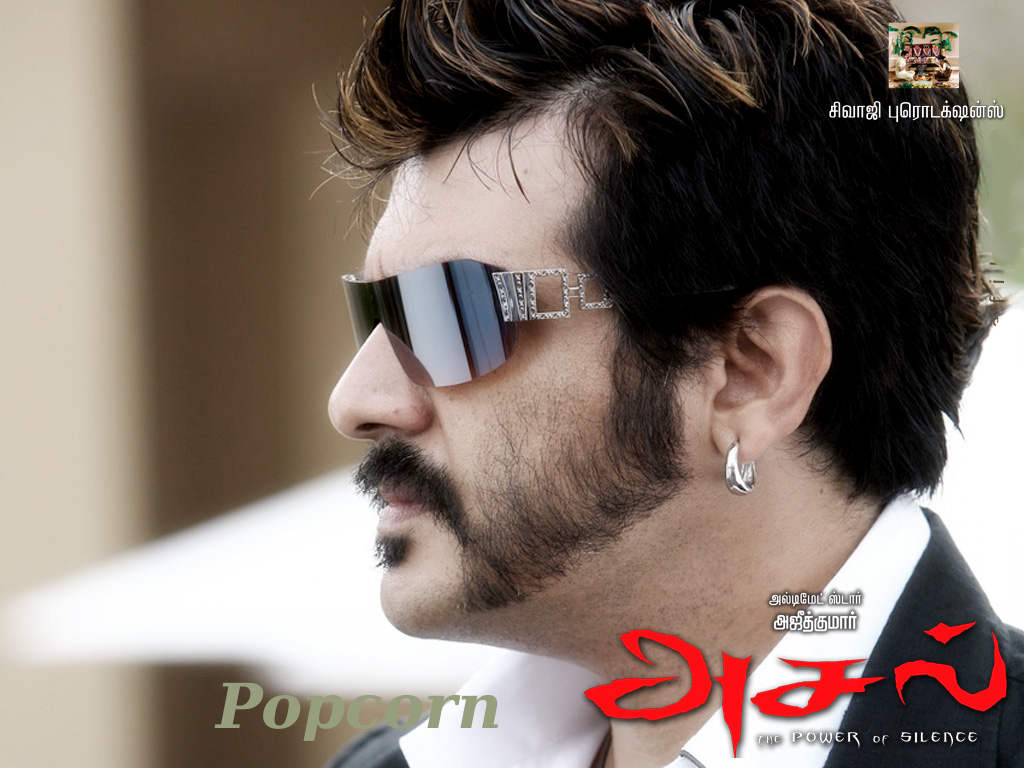Asal Fan Photos | Asal Photos, Images, Pictures # 3260 - FilmiBeat