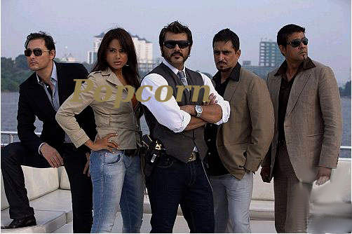 Asal Fan Photos | Asal Photos, Images, Pictures # 3267 - FilmiBeat