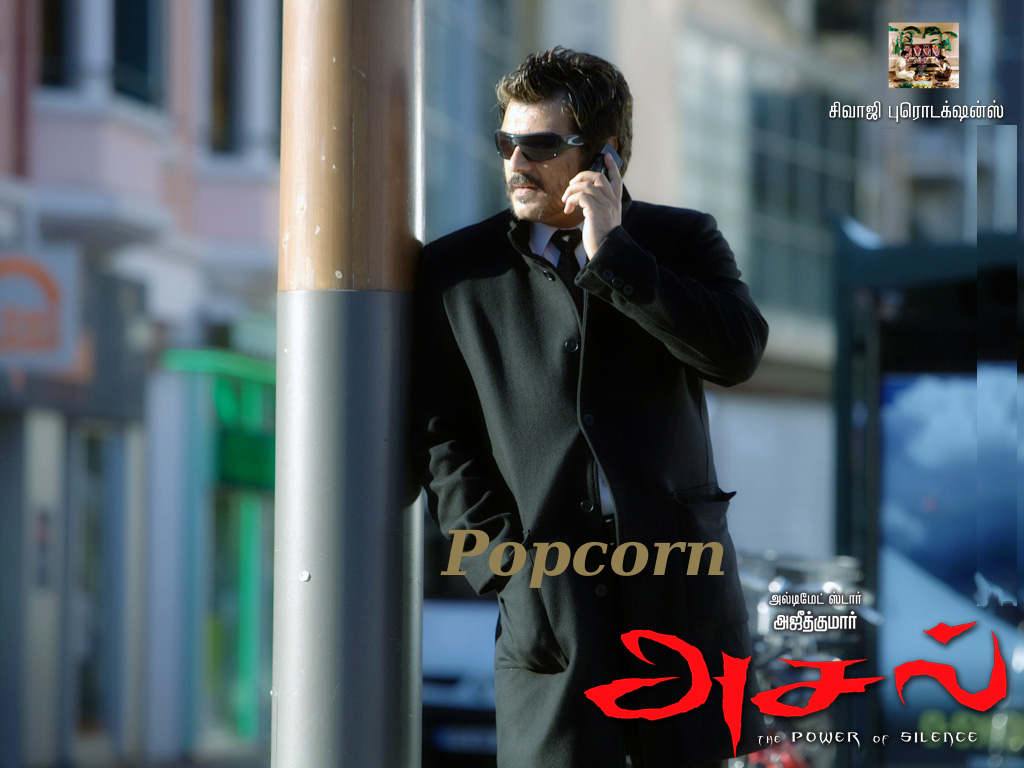 Asal Fan Photos | Asal Photos, Images, Pictures # 3257 - FilmiBeat