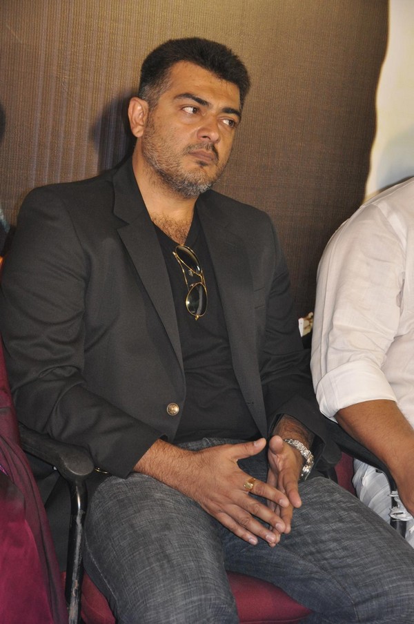 Asal Fan Photos | Asal Photos, Images, Pictures # 4125 - FilmiBeat