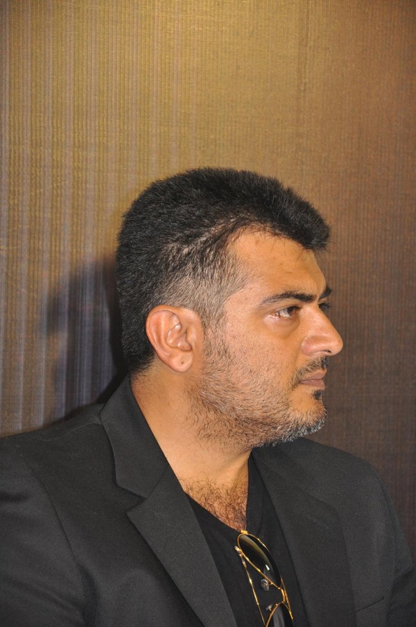 Asal Fan Photos | Asal Photos, Images, Pictures # 3274 - FilmiBeat