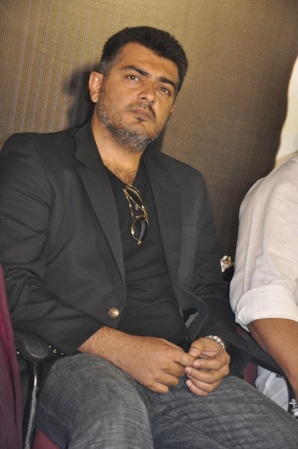 Asal Fan Photos | Asal Photos, Images, Pictures # 4123 - FilmiBeat