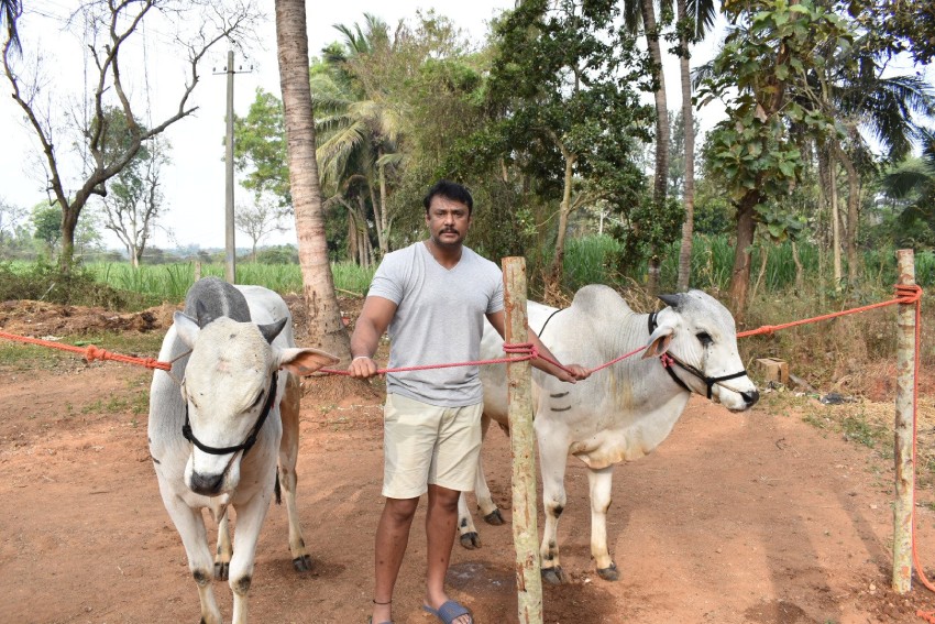 Darshan (Challenging Star) Fan Photos | Darshan Pictures, Images ...