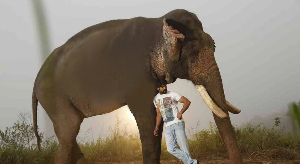 Gajakesari Fan Photos | Gajakesari Photos, Images, Pictures # 22808 ...