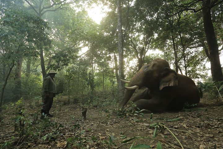Iyobinte Pusthakam (Iyobinte Pustakam) Fan Photos | Iyobinte Pusthakam ...