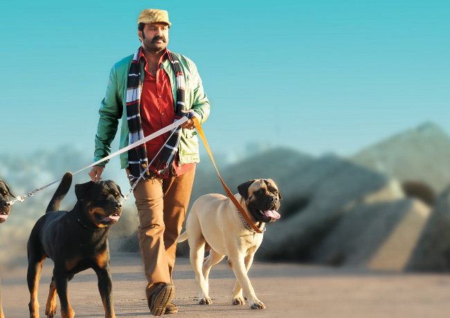 Legend Fan Photos | Legend Photos, Images, Pictures # 26827 - FilmiBeat