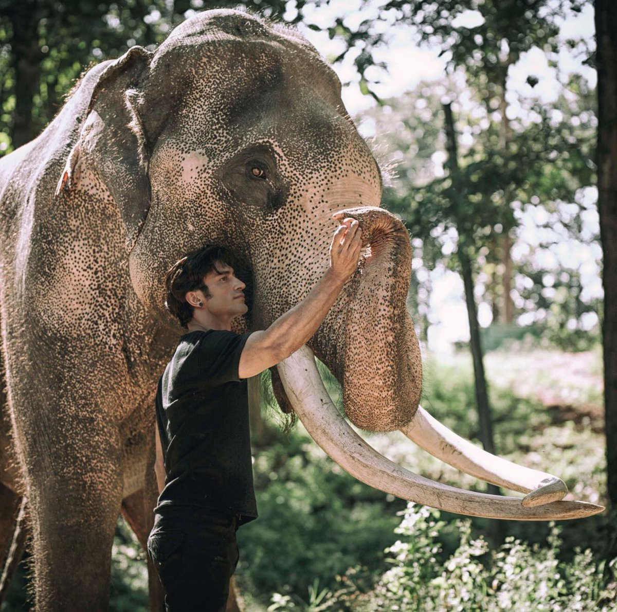 Junglee Fan Photos | Junglee Photos, Images, Pictures # 62425 - FilmiBeat