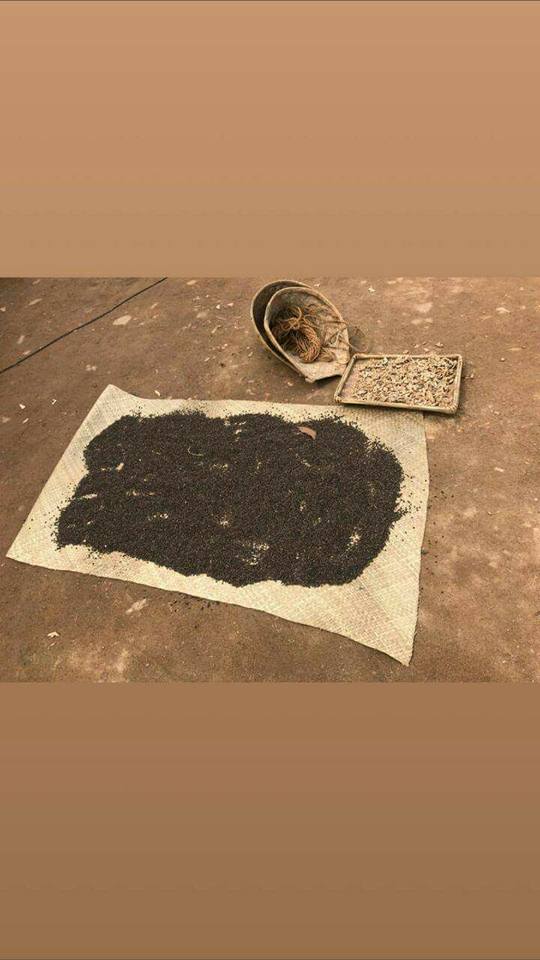 Mamangam (Mamankam) Fan Photos | Mamangam Photos, Images, Pictures ...
