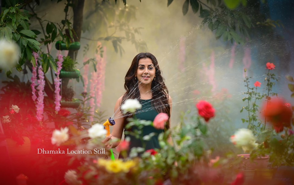 Dhamaka Fan Photos | Dhamaka Photos, Images, Pictures # 66239 - FilmiBeat