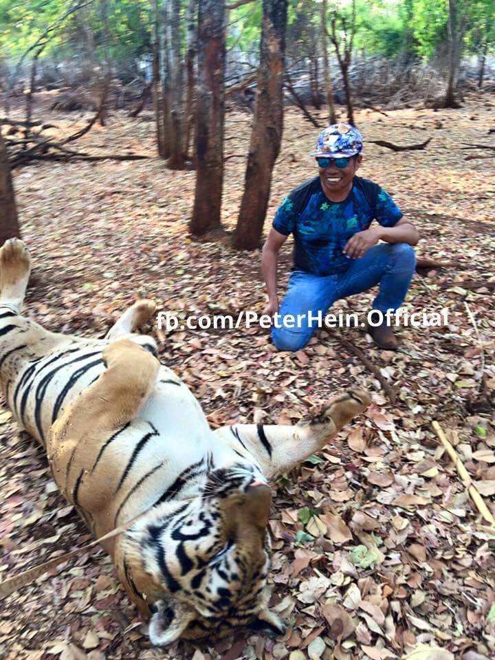 Puli Murugan (Pulimurugan Mohanlal Movie) Fan Photos | Puli Murugan ...