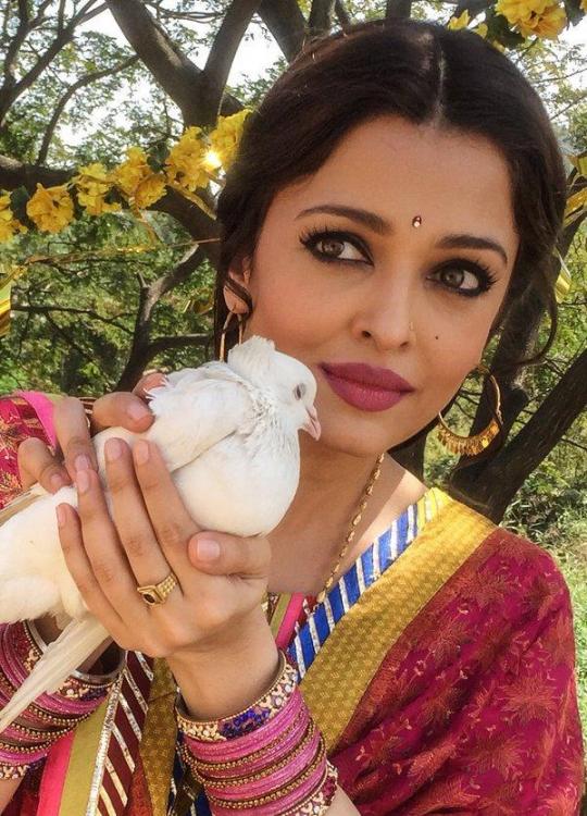 Sarabjit (Sarabjit Cast) Fan Photos | Sarabjit Photos, Images, Pictures ...