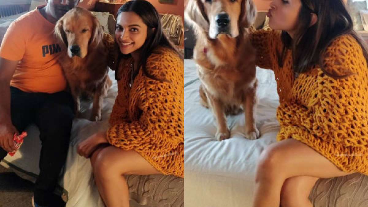 Deepika Padukone Shoots For A Commercial With A Dog. - Filmibeat