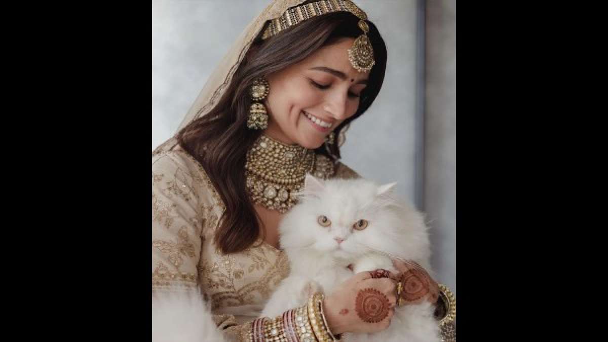 Alia Bhatt Poses With Her Cat Edward In New Pictures From Wedding ...