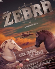 Zebra - Telugu Movie Review, Ott, Release Date, Trailer, Budget, Box ...