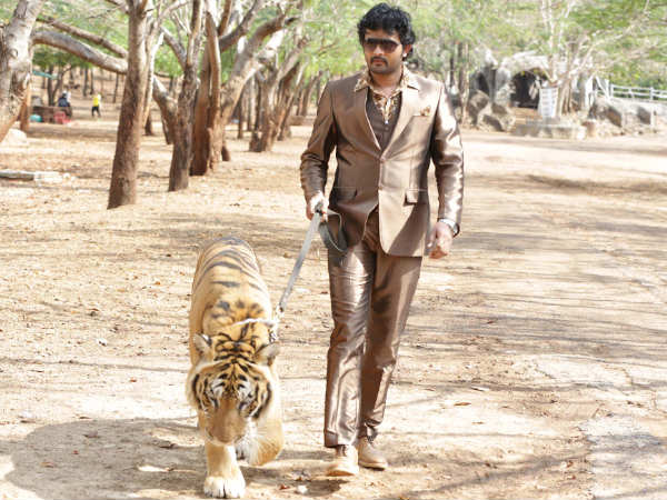 Puneet Rajkumar Croons | Tony | Srinagar Kitty - Filmibeat