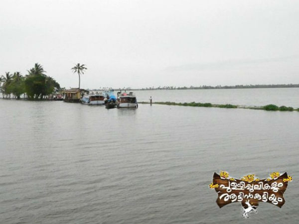 Pullipulikalum Aattinkuttiyum Movie Review | Kunchacko Boban | Namitha ...