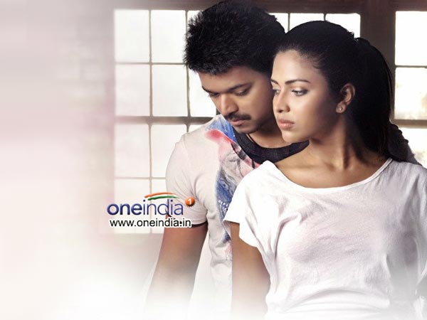 Thalaivaa | Box Office | Report - Filmibeat