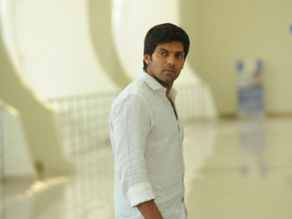 Raja Rani Success | Arya | Jai - Filmibeat