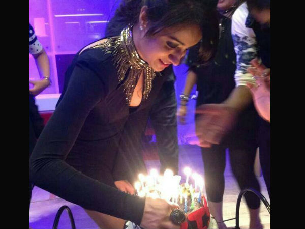 Trisha's 31st Birthday Celebration Pics - Filmibeat
