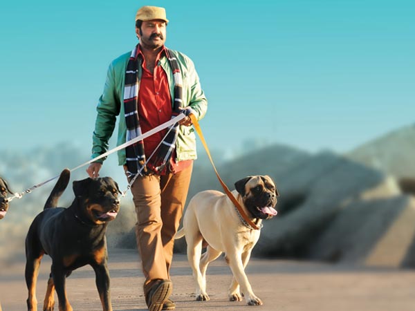 Nandamuri Balakrishna | Legend Completed 100 Days | 31 Theatres | Box ...