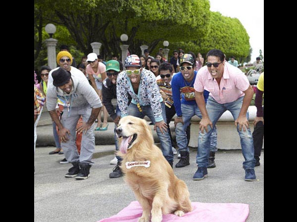 Entertainment Movie | Akshay Kumar Entertainment | Akshay Kumar ...