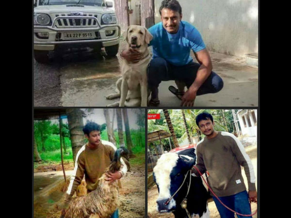 Actor Darshan | Darshan Birthday Special | Challenging Stars Darshan ...