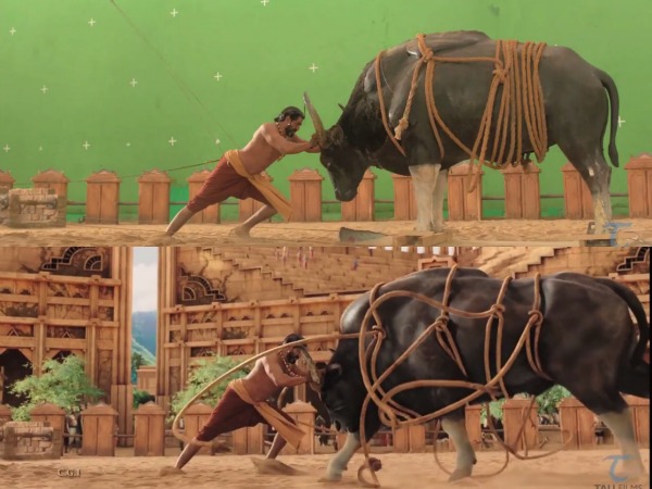 Ever Wondered How Rana Daggubati Fought The Bull In Baahubali - Filmibeat