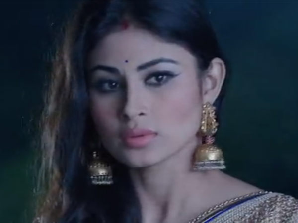 Naagin Spoiler: Shesha Enters Raheja House As Maid - Filmibeat