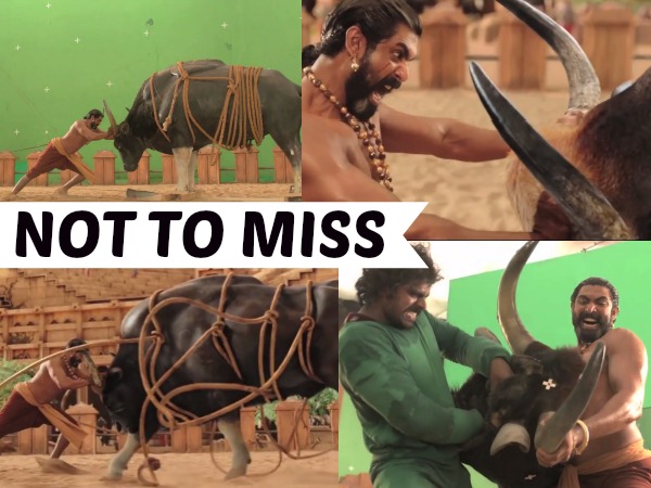Ever Wondered How Rana Daggubati Fought The Bull In Baahubali - Filmibeat