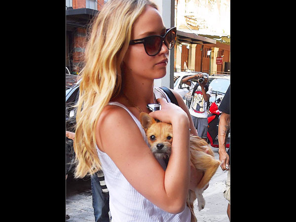 Here are a few must see cute pictures of Jennifer Lawrence and pet dog ...