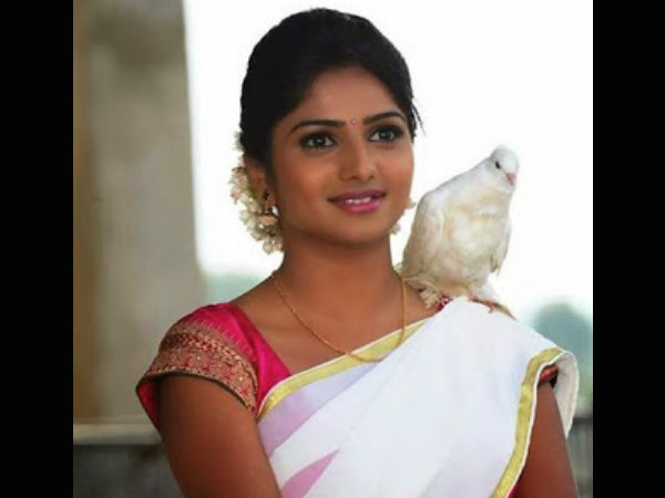 Rachita Ram Goes Traditional For Jaggu Dada - Filmibeat