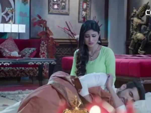 Naagin Spoiler: Ichadari Mor To Create Trouble In Shivanya & Ritik’s ...