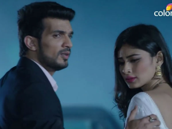 Naagin Spoiler: Ichadari Mor To Create Trouble In Shivanya & Ritik’s ...