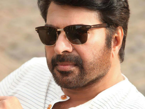 Records Created And Broken By Mammootty And His Films - Filmibeat
