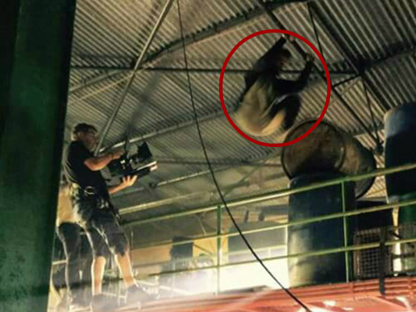 Pranav Mohanlal's Stunt Pictures From The Sets Of Aadhi Goes Viral ...