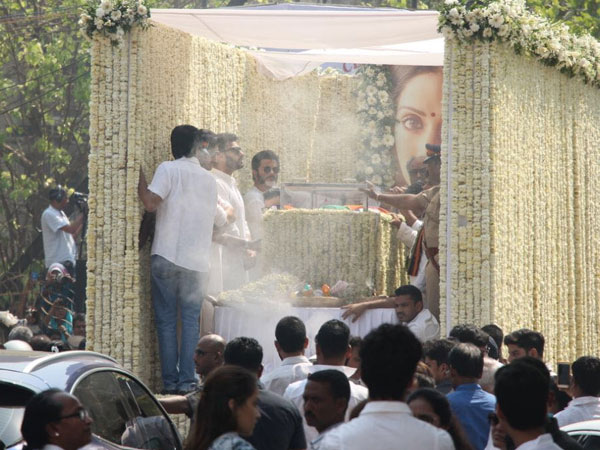 Sridevi Last Journey Pictures, Sridevi Dressed Up In A Red Saree Last ...