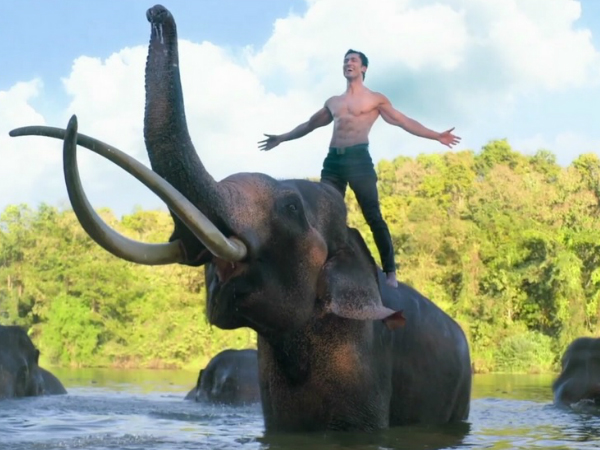 Junglee Trailer: Vidyut Jammwal Sets Out To Protect The Animal Kingdom ...