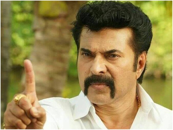 Madhura Raja Box Office Collections Update | Mammootty's Madhura Raja ...